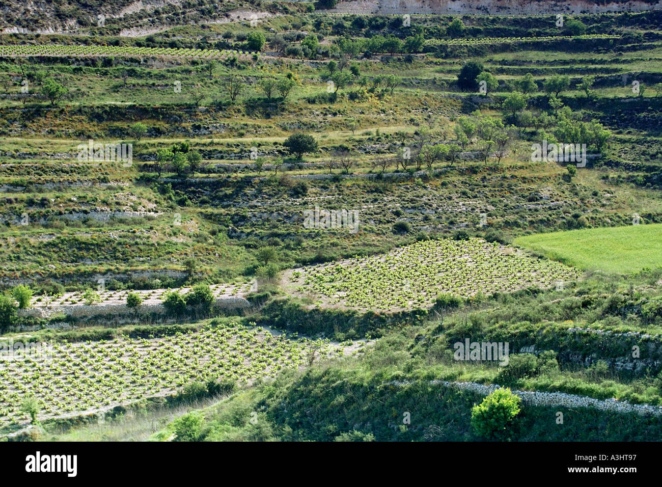 Aerial view tilled crop fields hi-res stock photography and images - Alamy