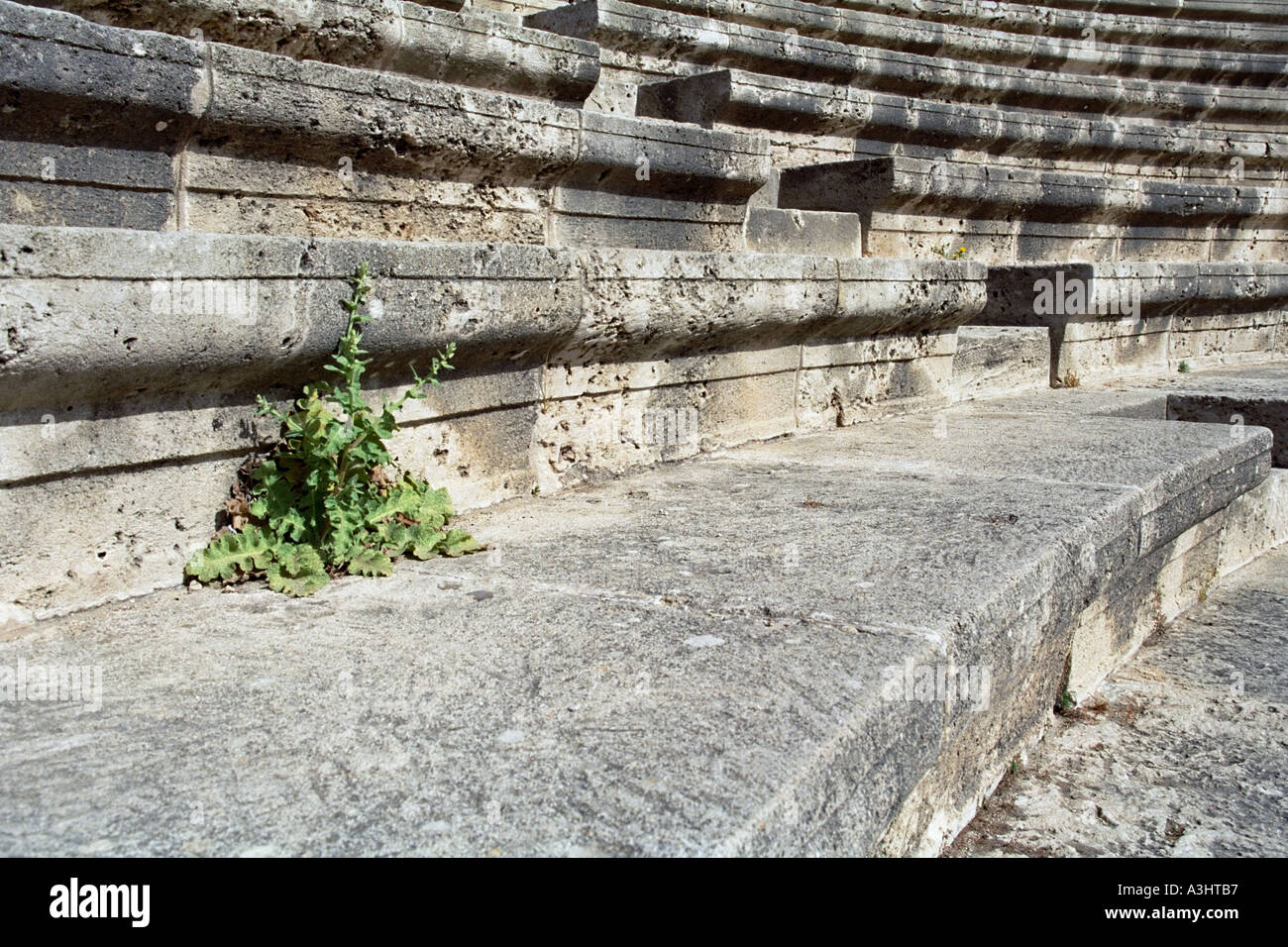 Rows of seats in the ancient amphitheatre. Kato Paphos, Cyprus Stock ...