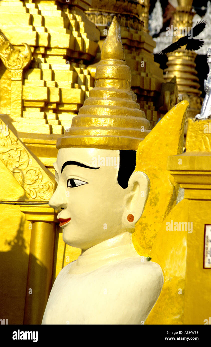 Norma Fish's Instagram, Twitter & Facebook on IDCrawl