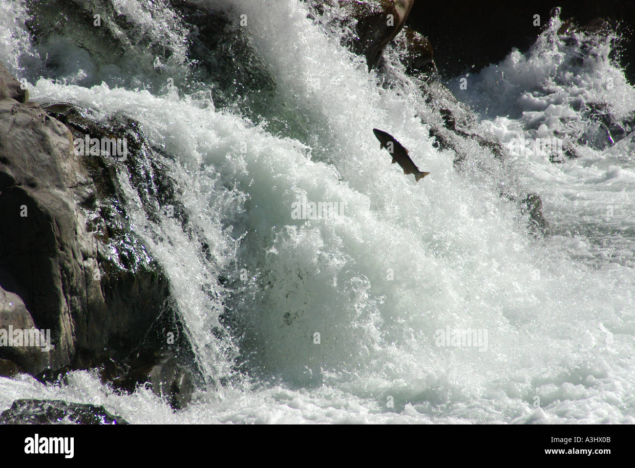 Lucia falls in Southern Washington State USA Stock Photo - Alamy