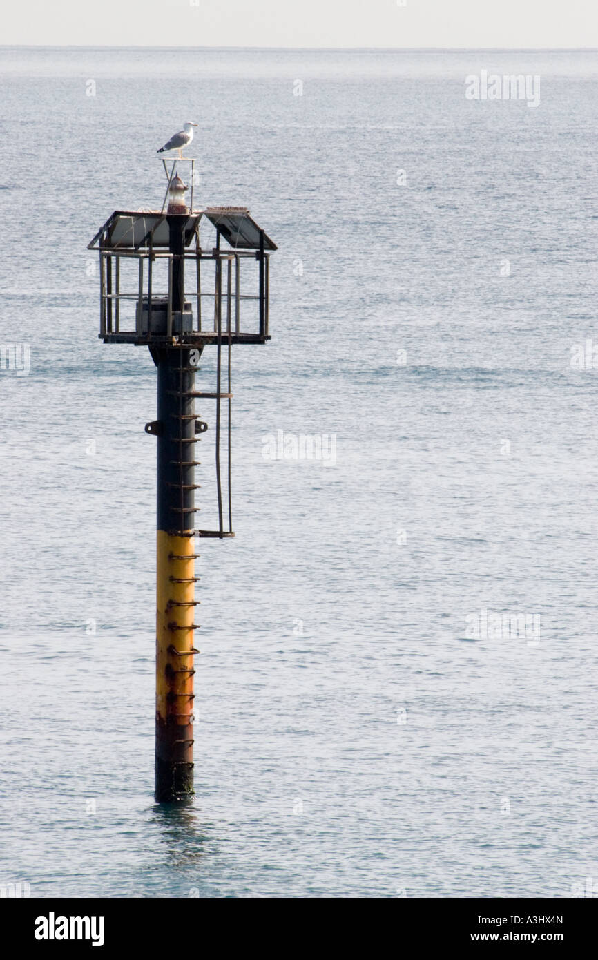 SEAGULL ON A BUOY IN THE BARCELONA PORT Stock Photo - Alamy