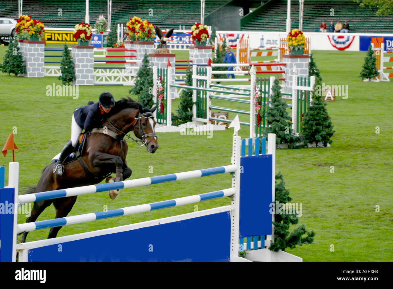 HORSES SHOW JUMPING Stock Photo - Alamy