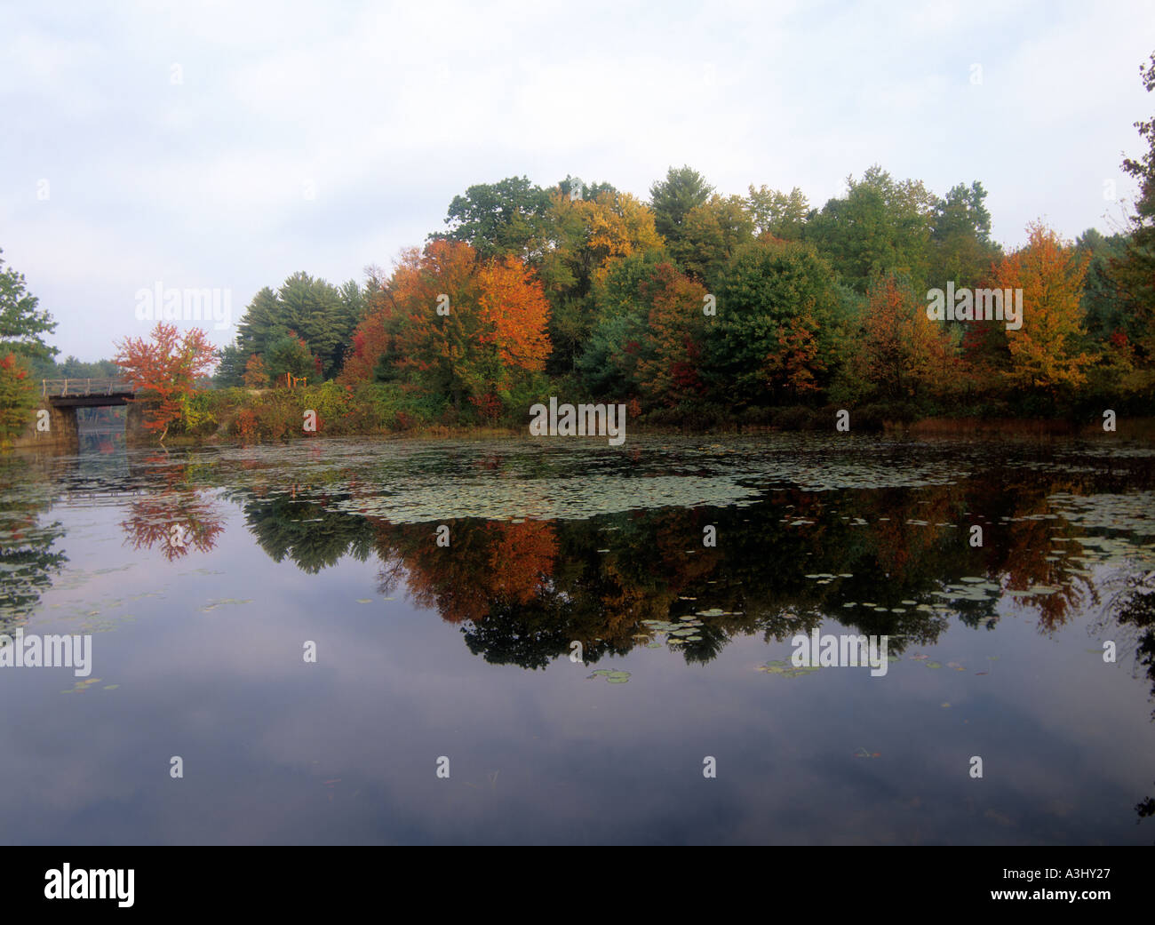 Reflections of Autumn Colors in a small New Hampshire pond located in ...