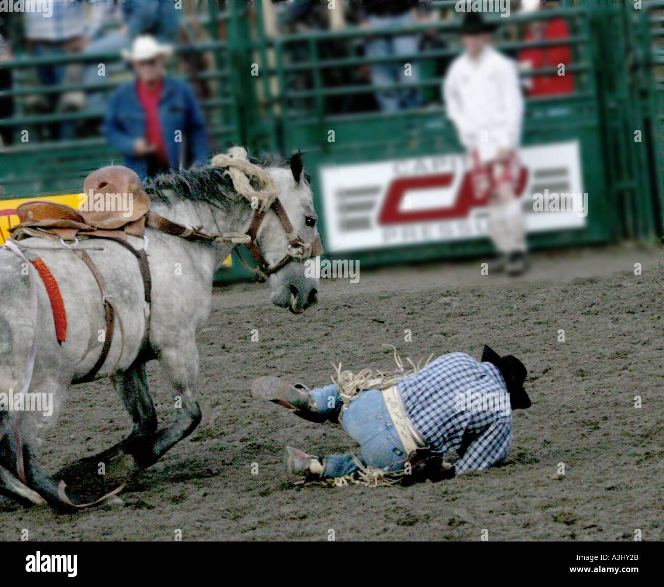 Rodeo Alberta Canada Bronco Riding Stock Photo - Alamy