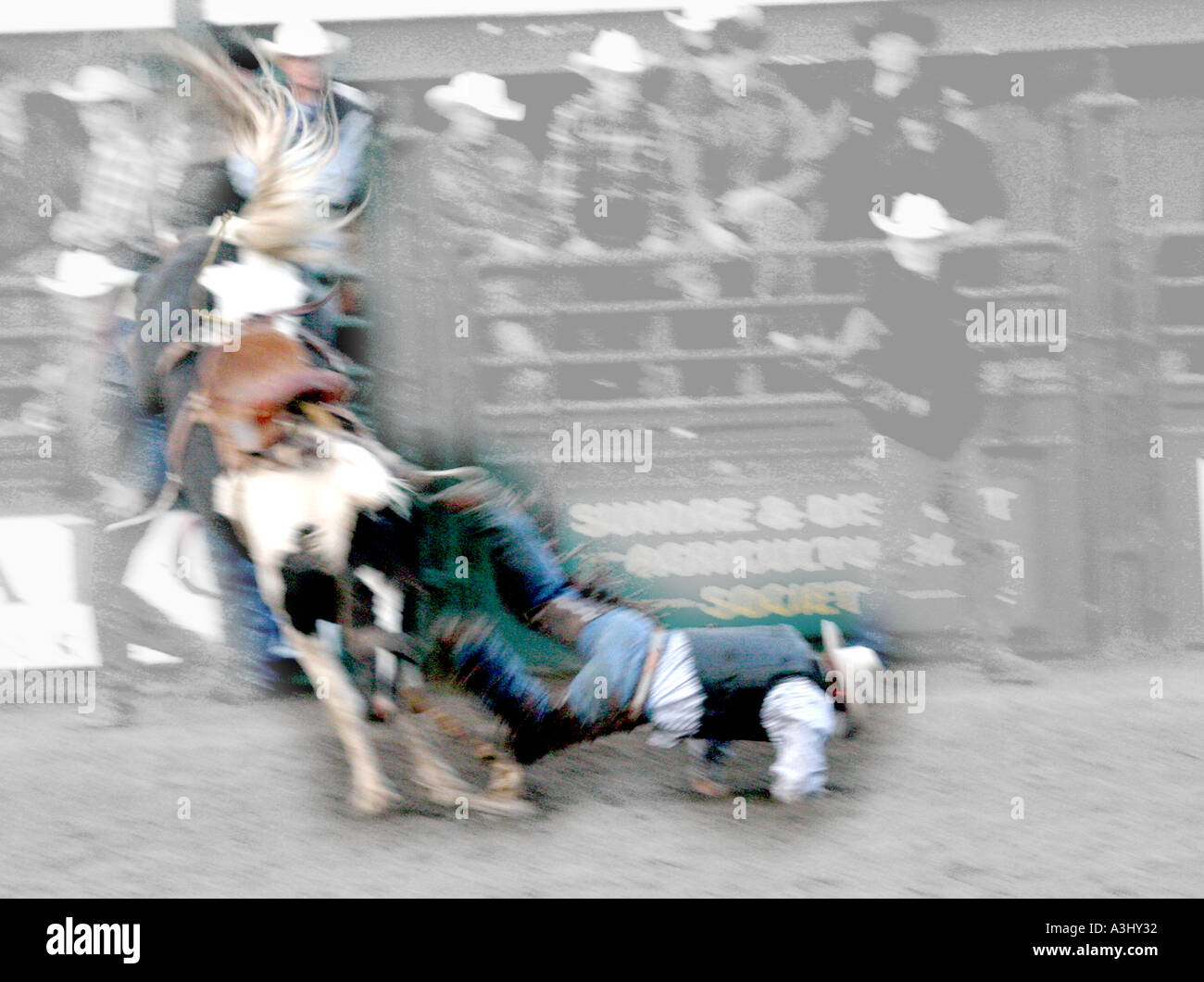 Rodeo Alberta Canada Bronco Riding Stock Photo - Alamy