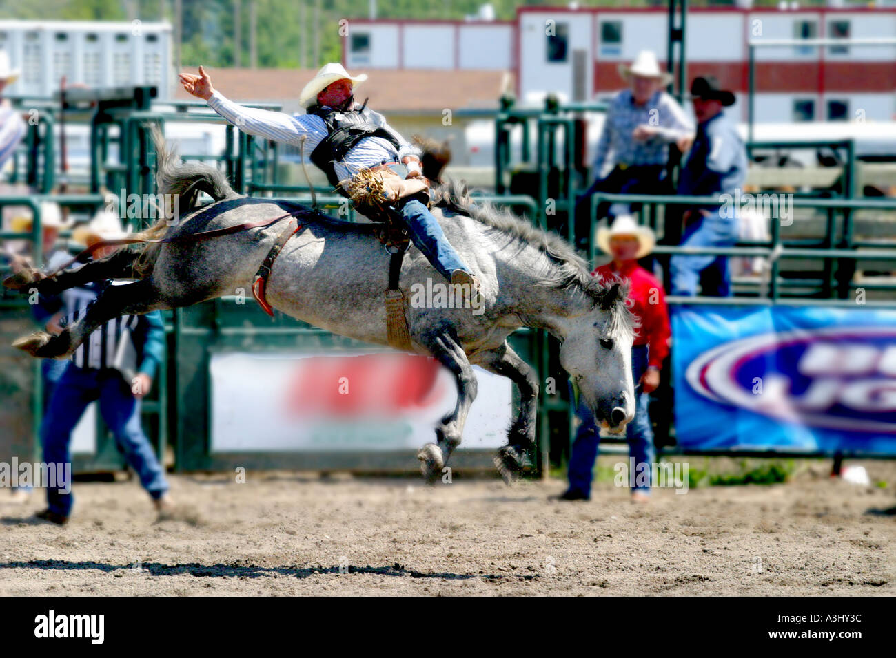 Rodeo Alberta Canada Bronco Riding Stock Photo - Alamy