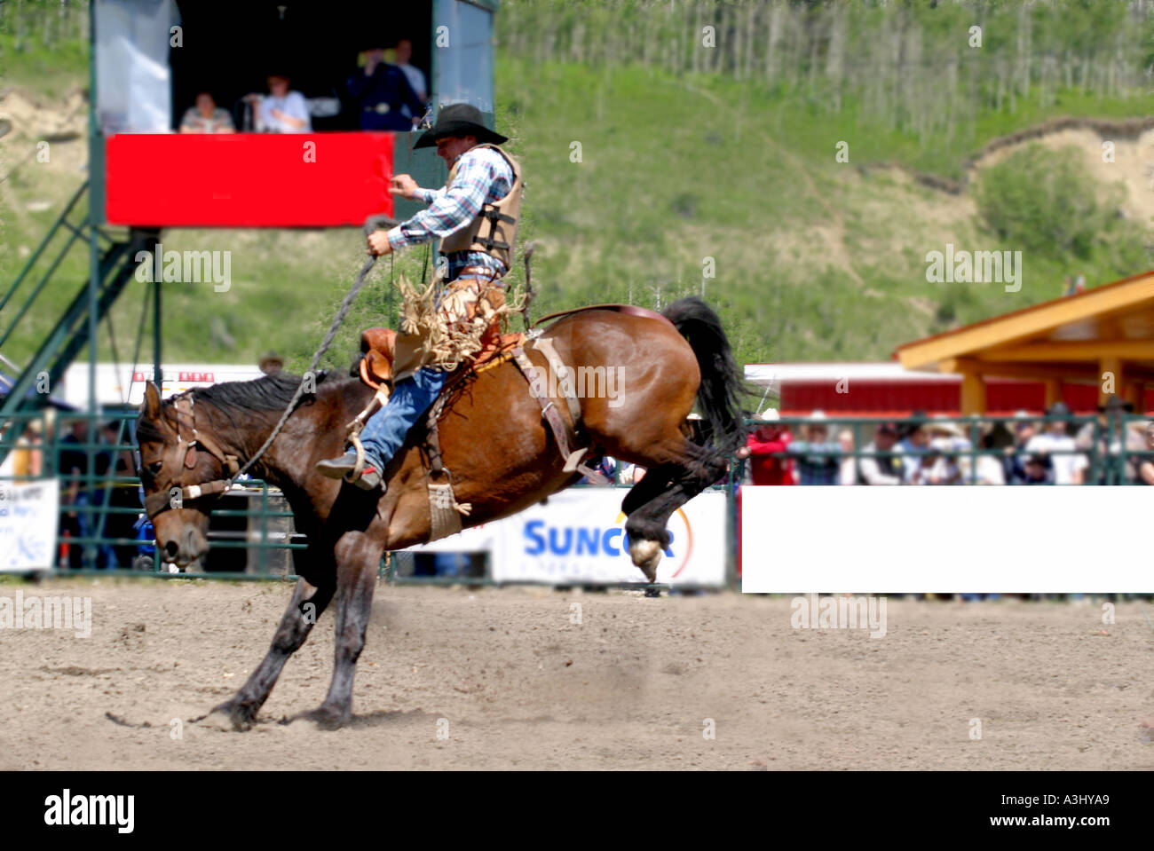 Rodeo Alberta Canada Bronco Riding Stock Photo - Alamy