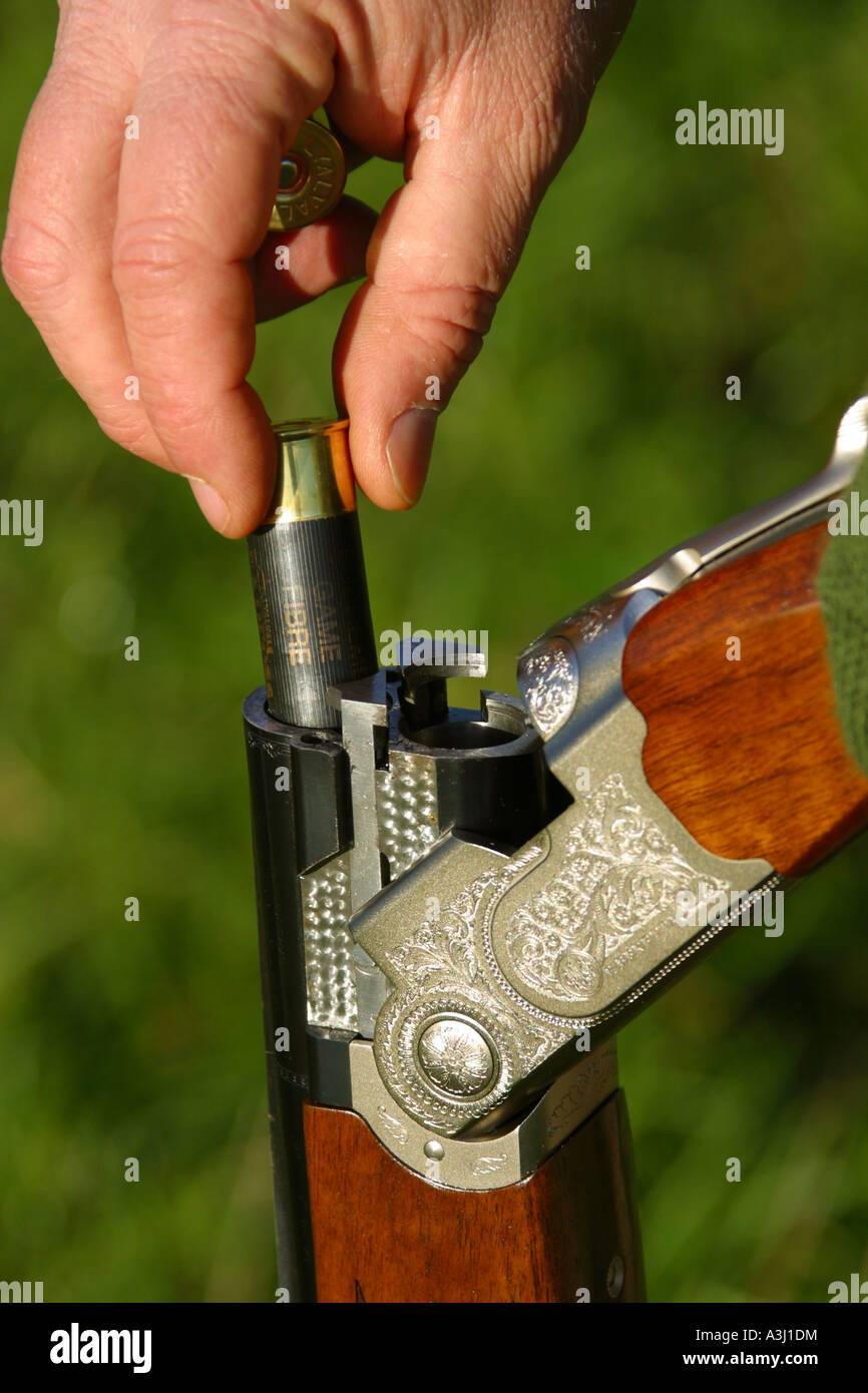Loading double barrelled shotgun with cartridge Stock Photo - Alamy