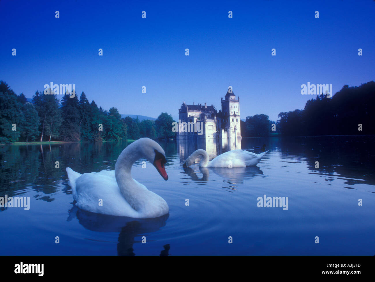 Castle anif, austria hi-res stock photography and images - Alamy