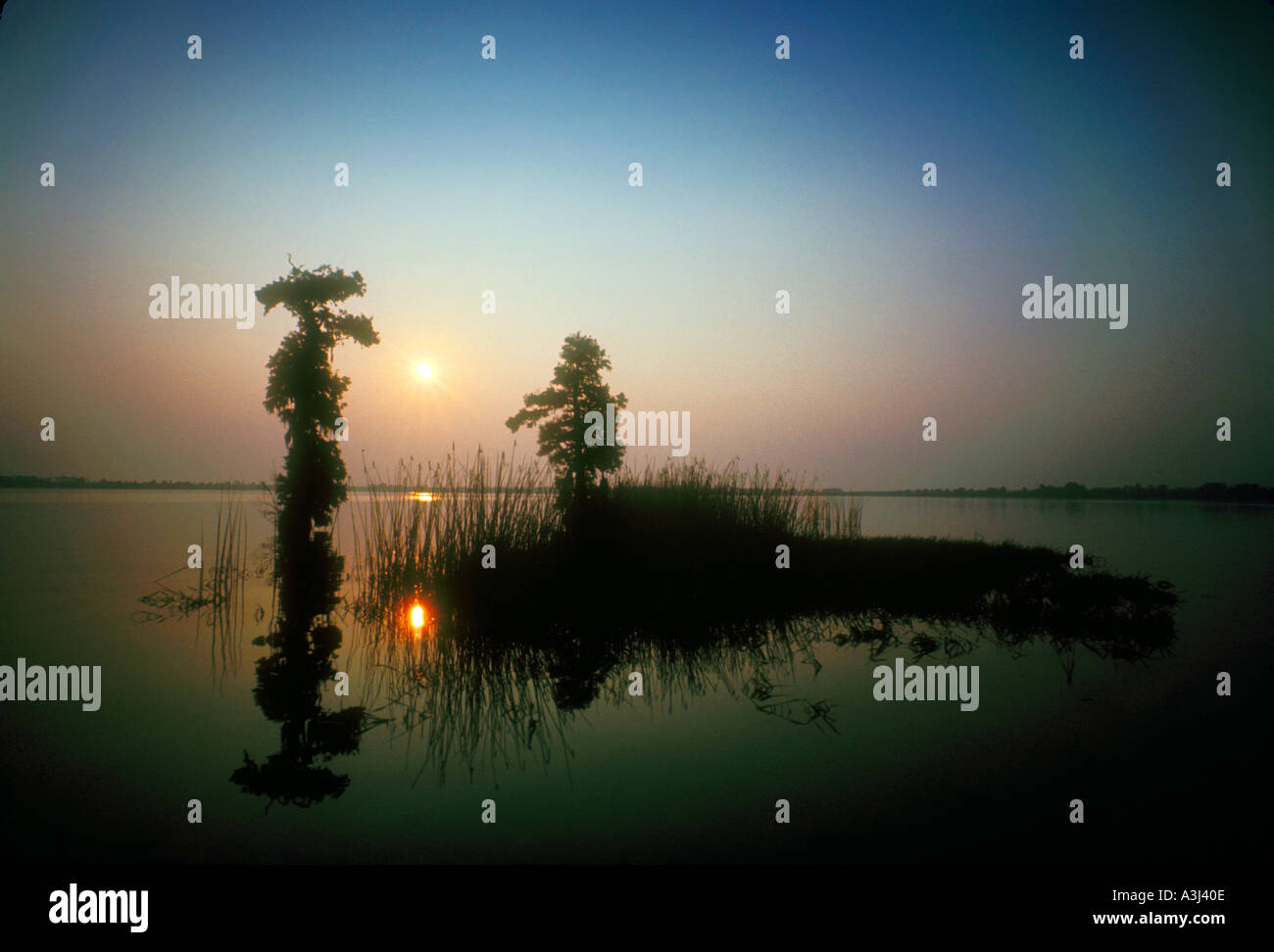 Cypress lake hi-res stock photography and images - Alamy