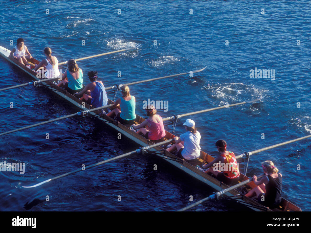 college students race shell boat on Florida river USA Stock Photo - Alamy