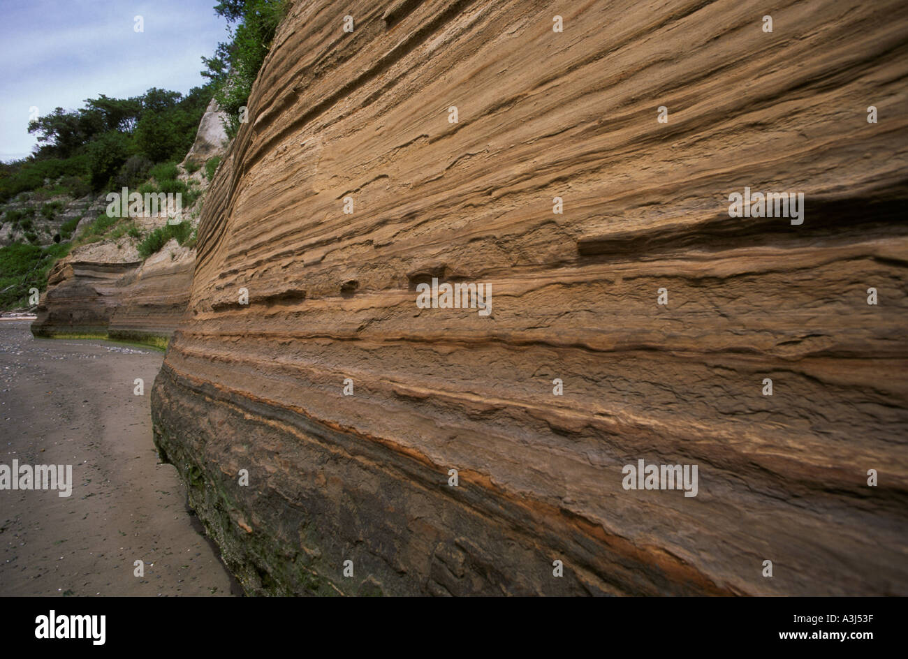 VARVE DEPOSITS silt and mud layers deposited by Pleistocene glacial ...