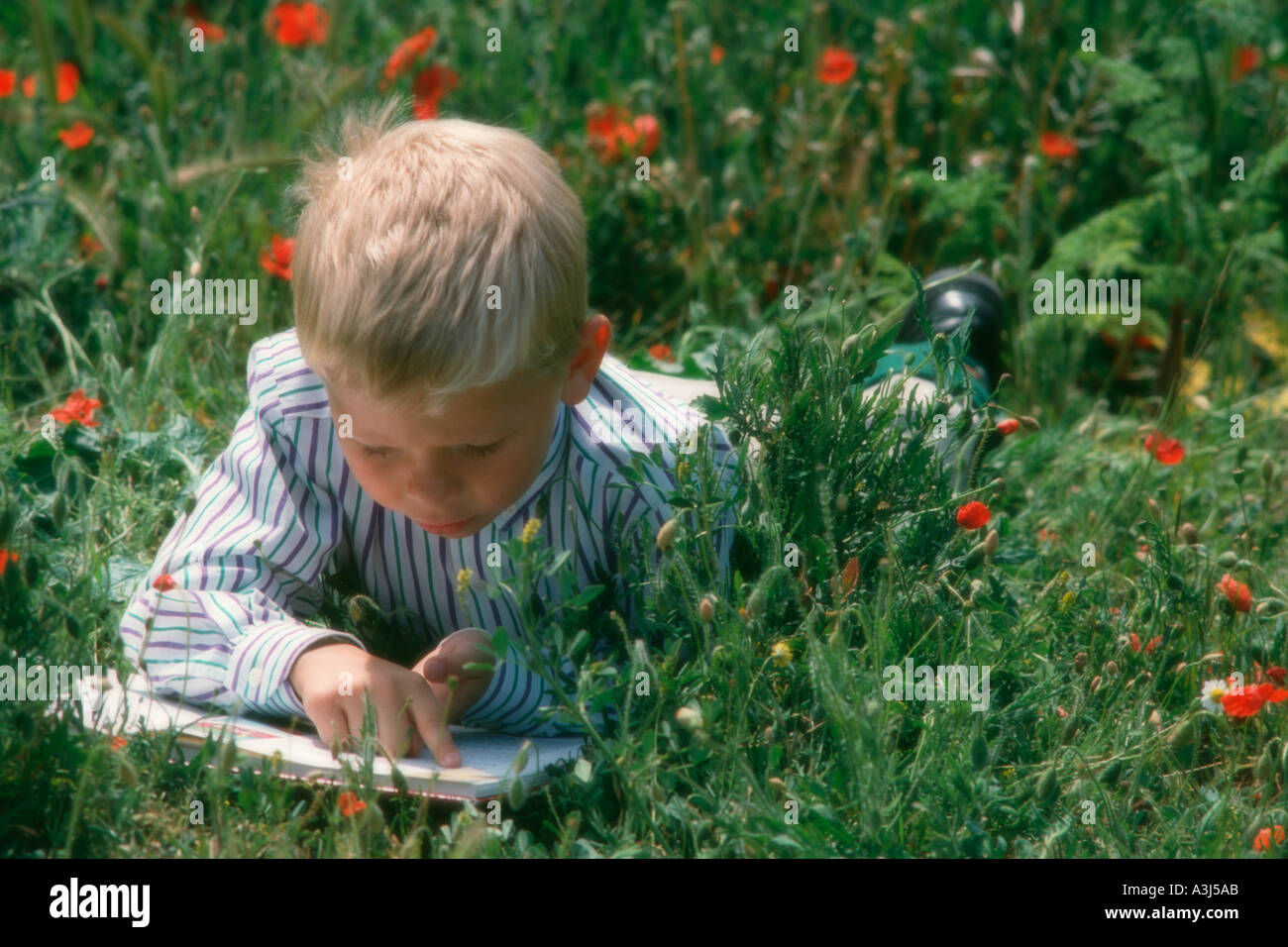 Young boy reading on flowery grass Stock Photo - Alamy