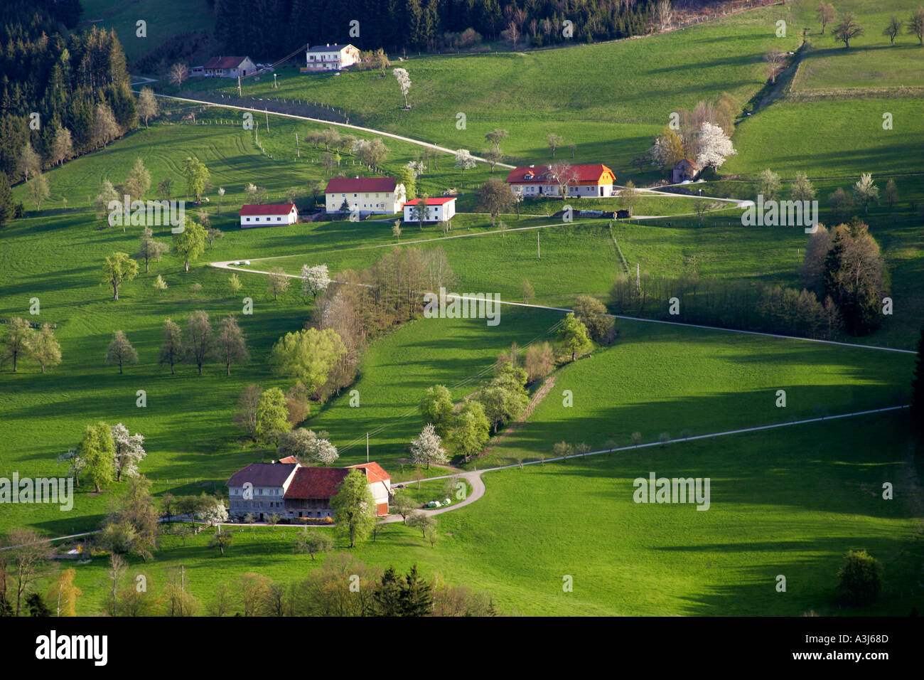 farmhouses and green meadows in spring scenic road Alpenvorlandstraße ...