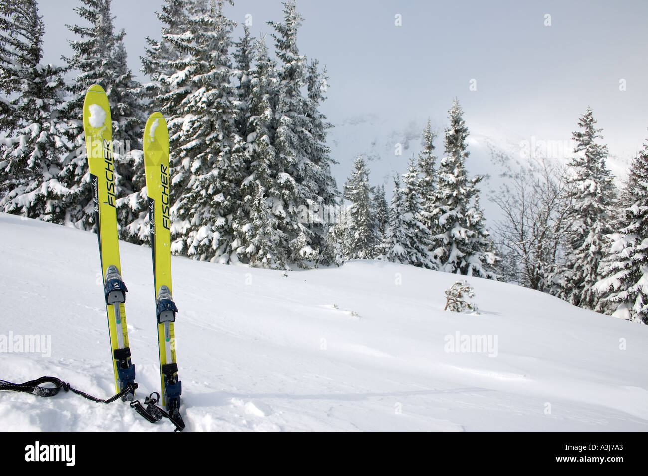 cross country ski on the mountain Rax Lower Austria Stock Photo - Alamy