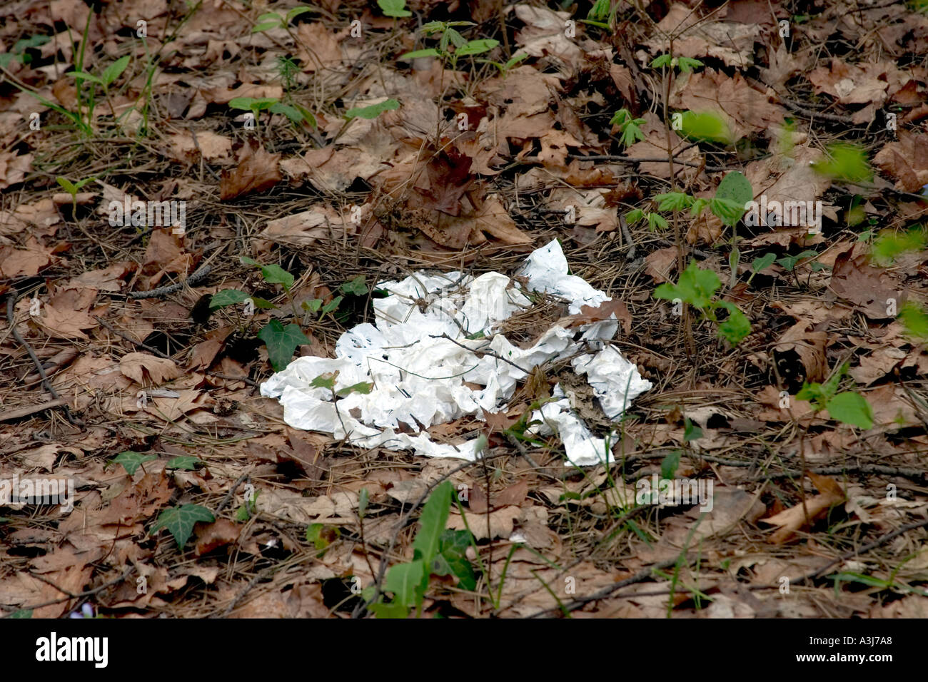 forest littered with toilet paper Stock Photo - Alamy