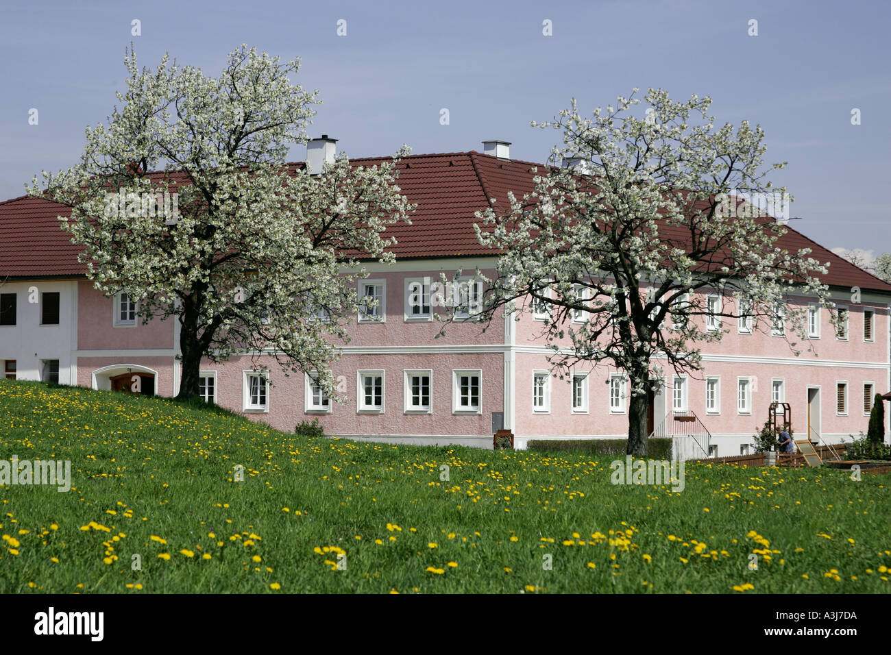 Pear trees farmhouse in spring hi-res stock photography and images - Alamy