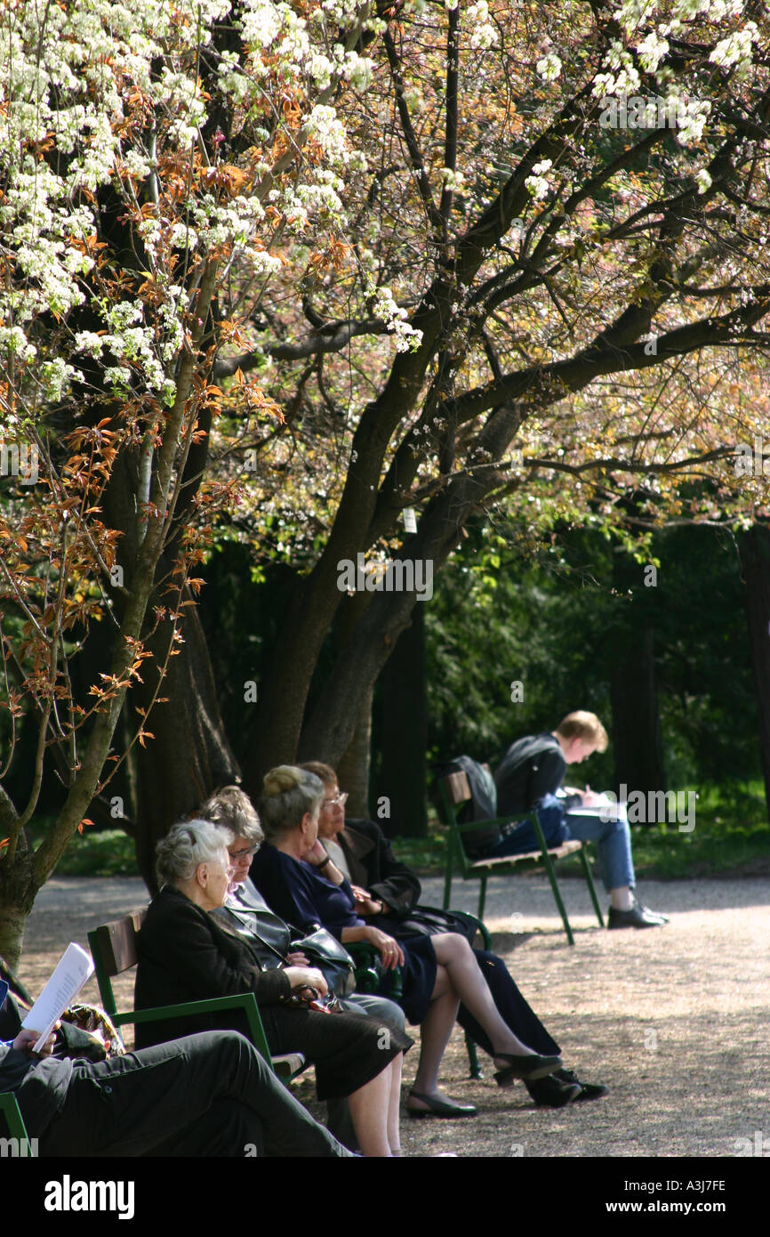 people enjoying the warm sun in spring in the park of the botanical ...