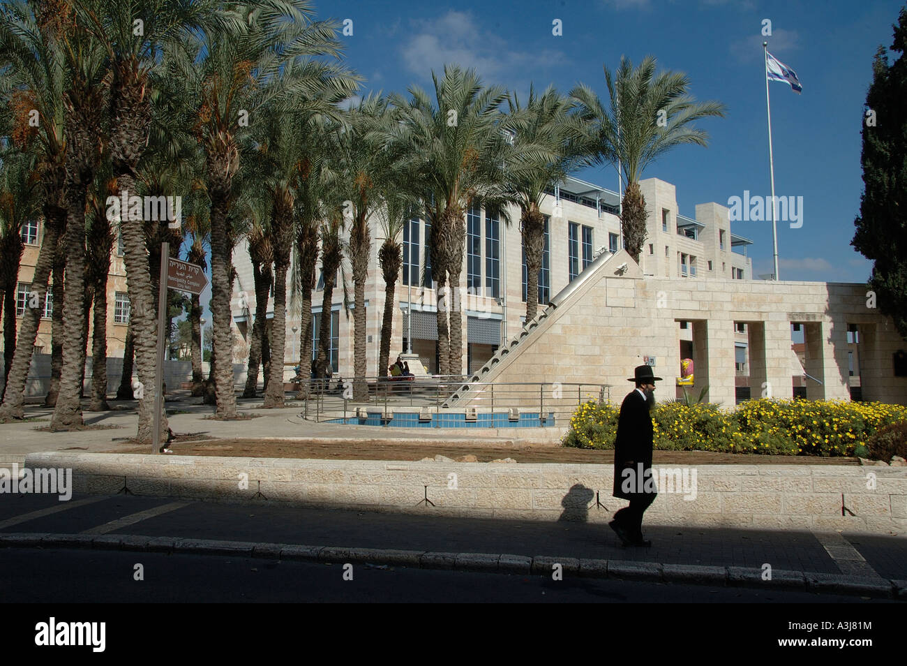 Ultra orthodox Jewish man walking by the palm filled Safra square in ...