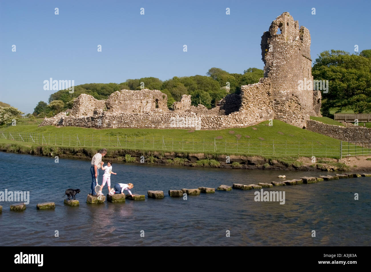 A Family cross the Stepping Stones across the River Ogmore by the ruins ...