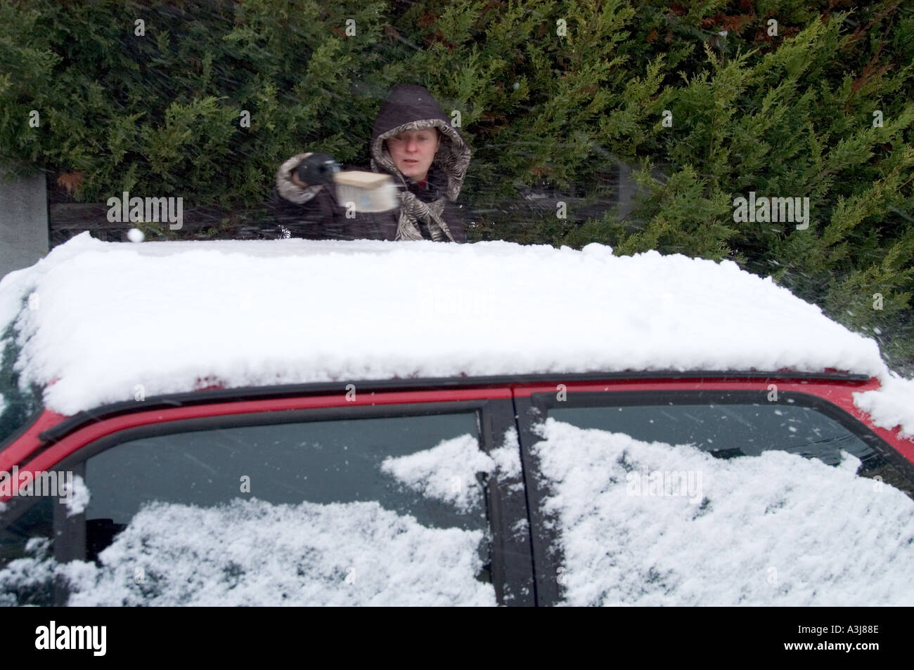 woman removes snow and ice from a car Stock Photo - Alamy