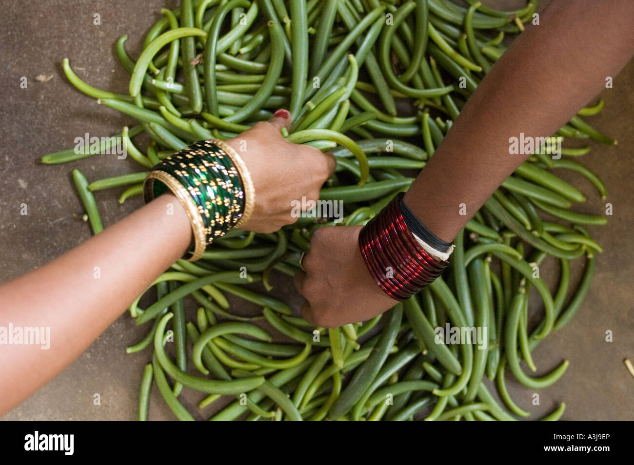 Vanilla farm hi-res stock photography and images - Alamy
