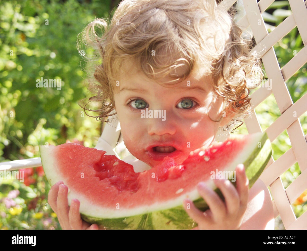 1 year old infant eating watermelon outside in garden Stock Photo - Alamy