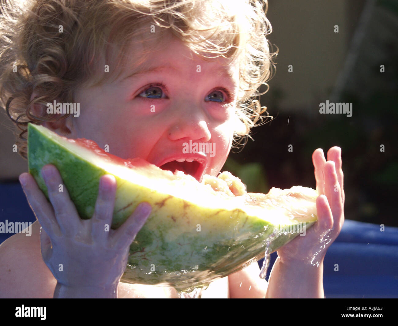 1 year old infant eating watermelon outside in garden Stock Photo - Alamy