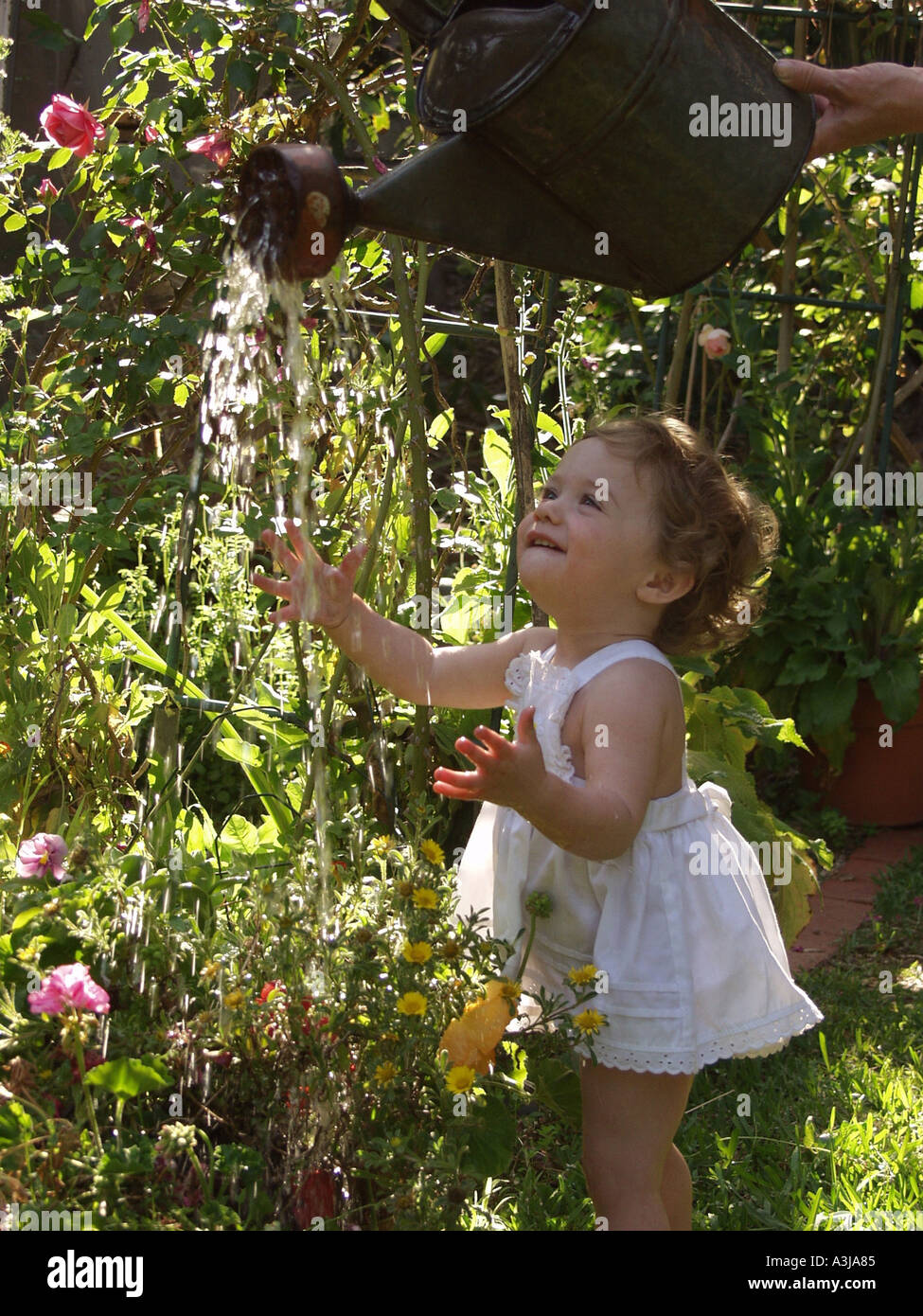 Little girl in garden catching water with hands Stock Photo - Alamy