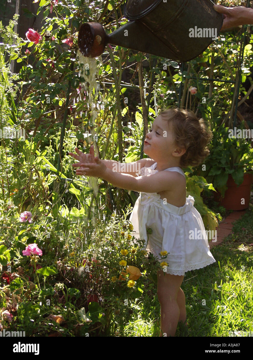 Little girl in garden catching water with hands Stock Photo - Alamy