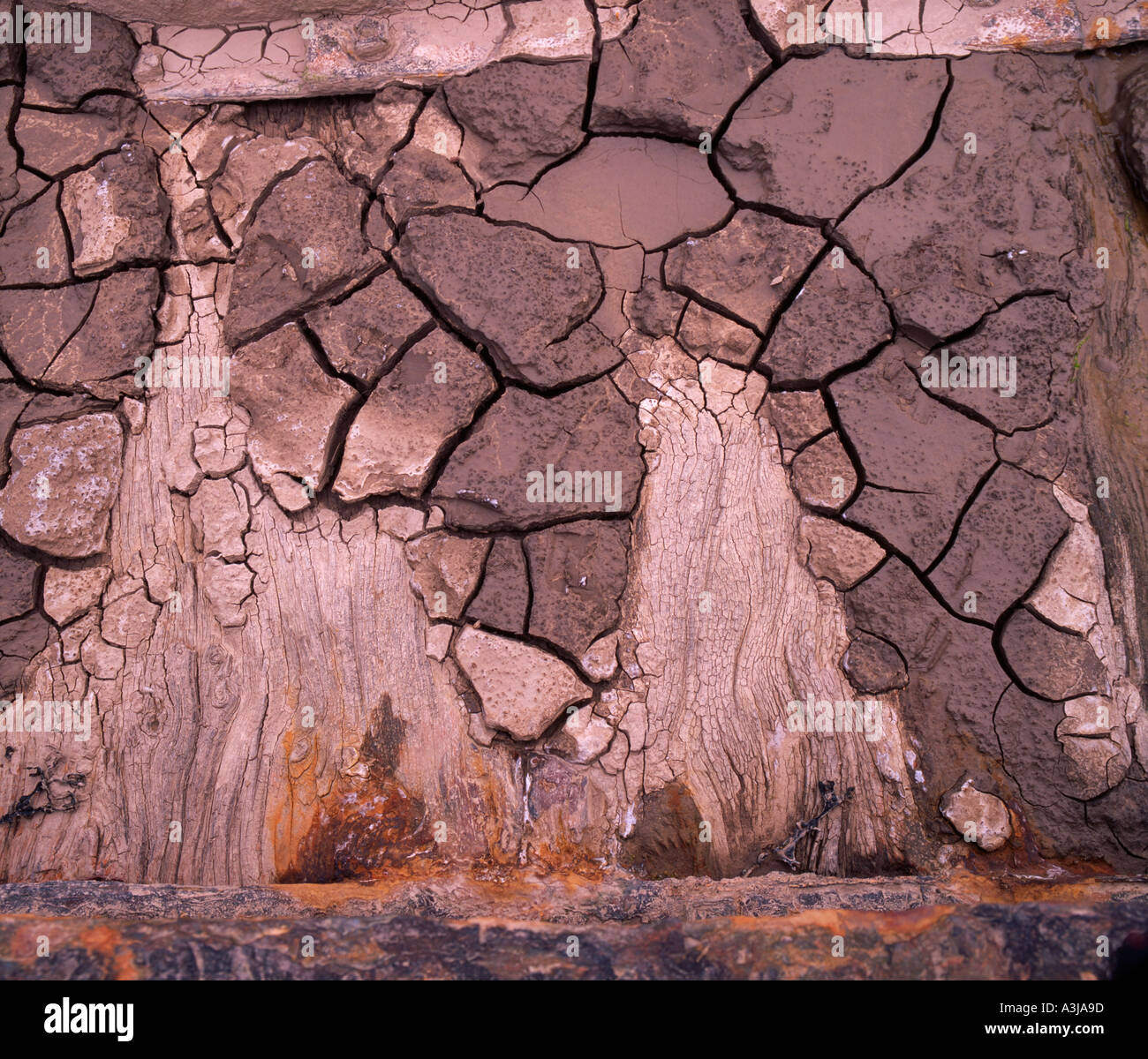 Cracked mud River Severn Estuary Stock Photo - Alamy