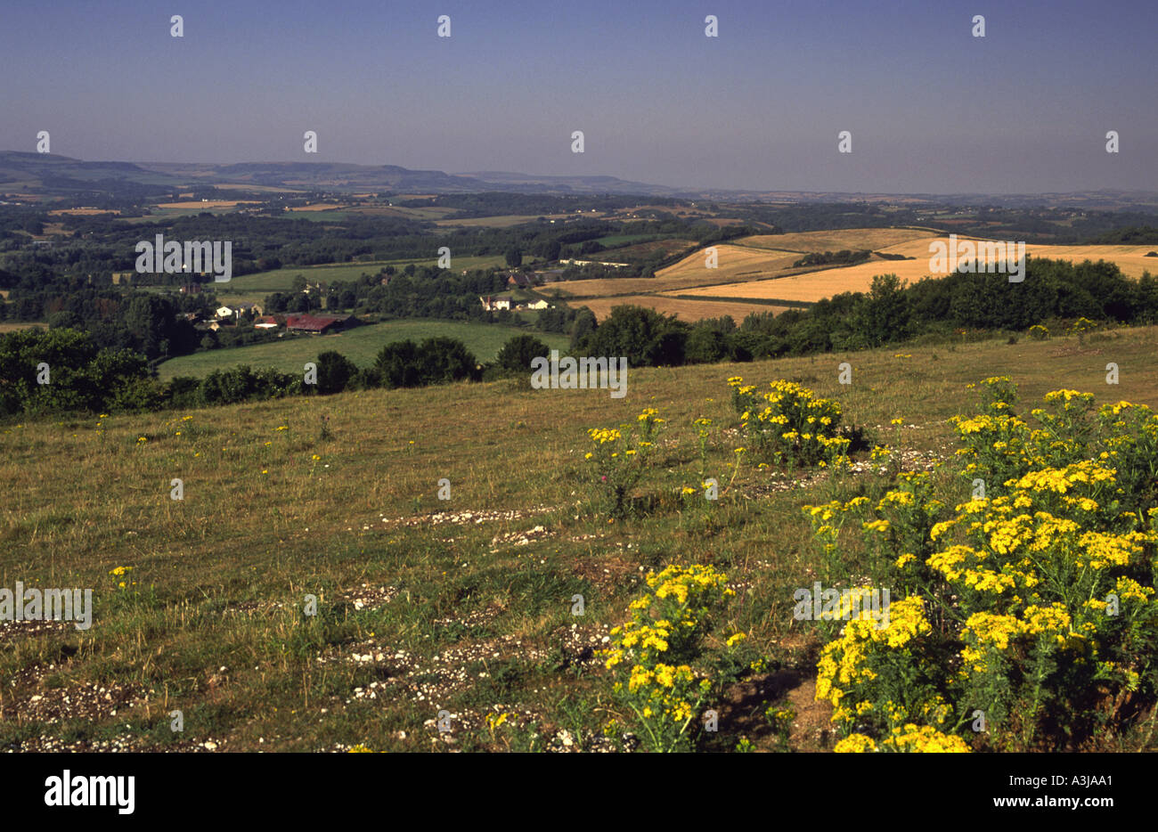 Overlooking Brading Downs Isle of Wight England UK Stock Photo - Alamy