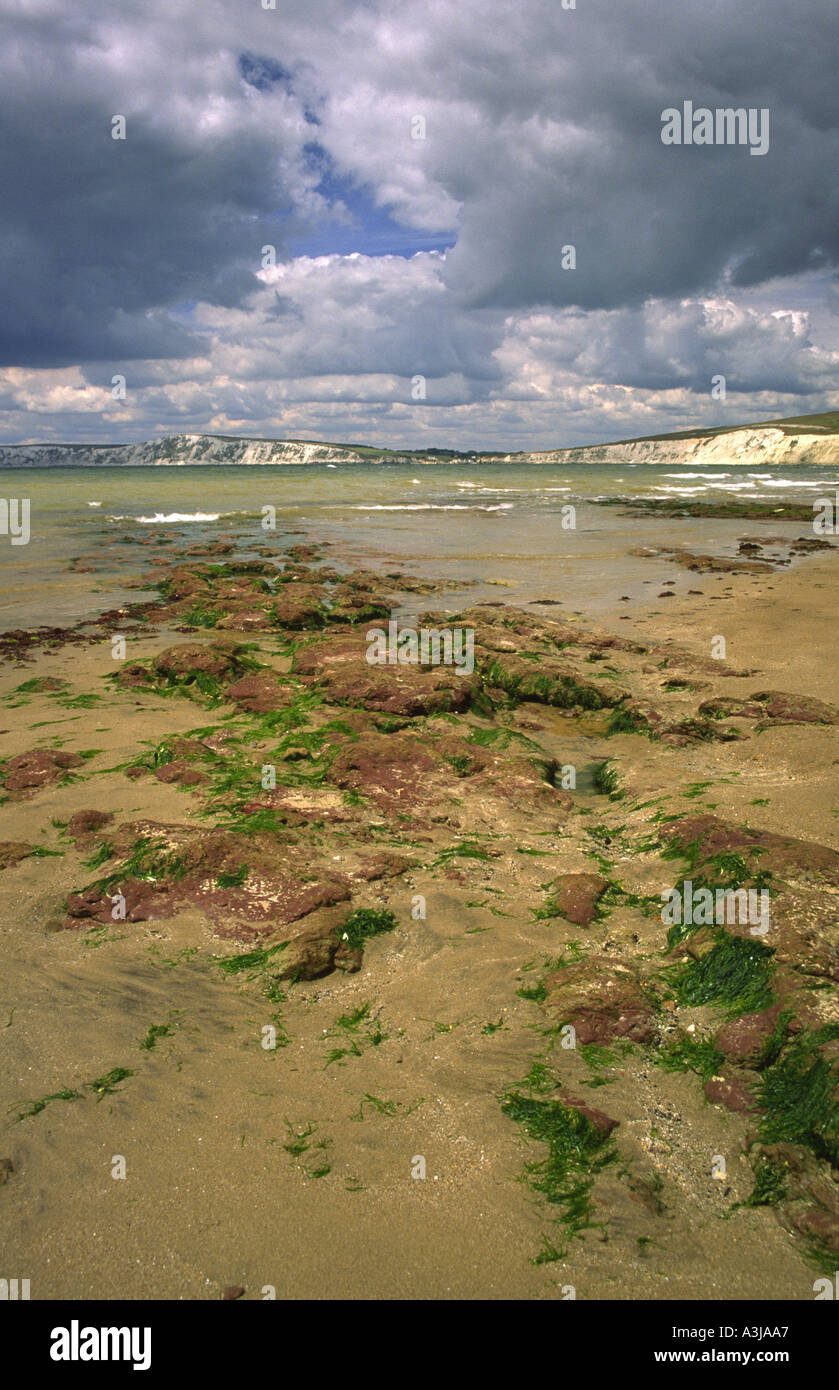 Brook Bay Isle Of Wight Stock Photos & Brook Bay Isle Of Wight Stock ...