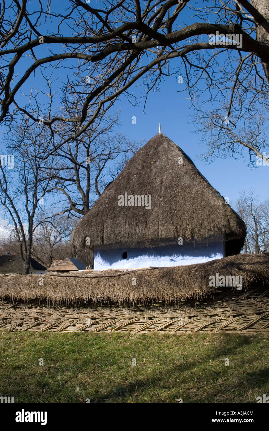 Rural house with a roof covered with straw-thatched corn shed from ...