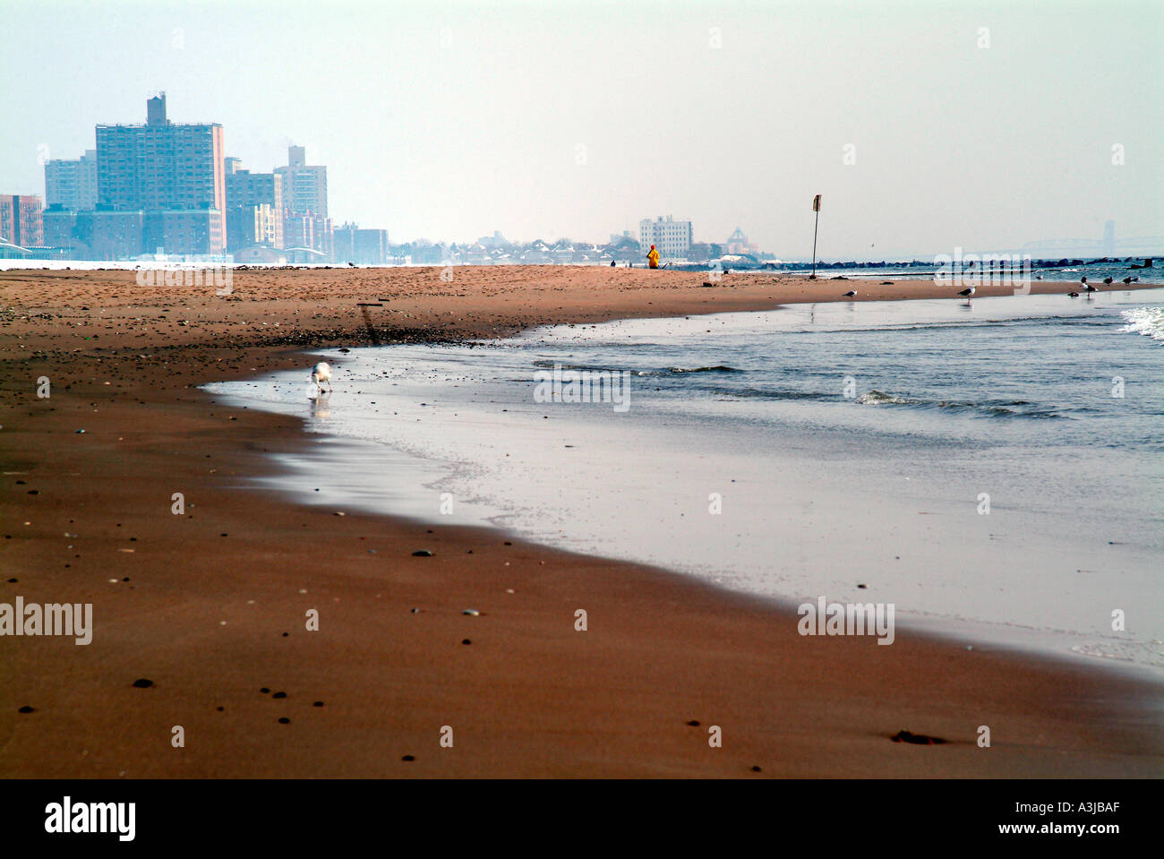 Coney Island Beach Stock Photo - Alamy