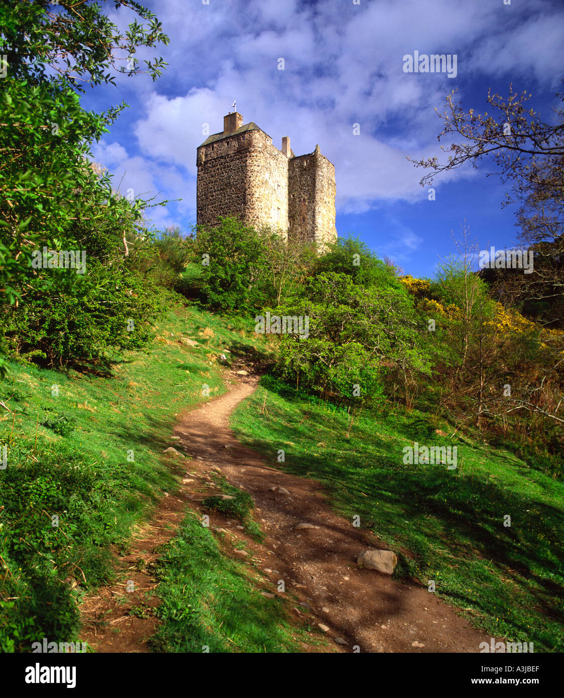 Eddlestone hi-res stock photography and images - Alamy