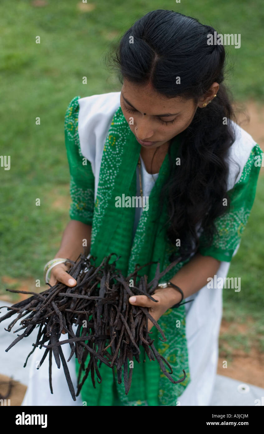 Vanilla factory hi-res stock photography and images - Alamy