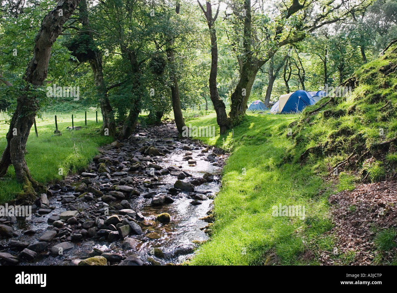 Tents by a stream Stock Photo - Alamy