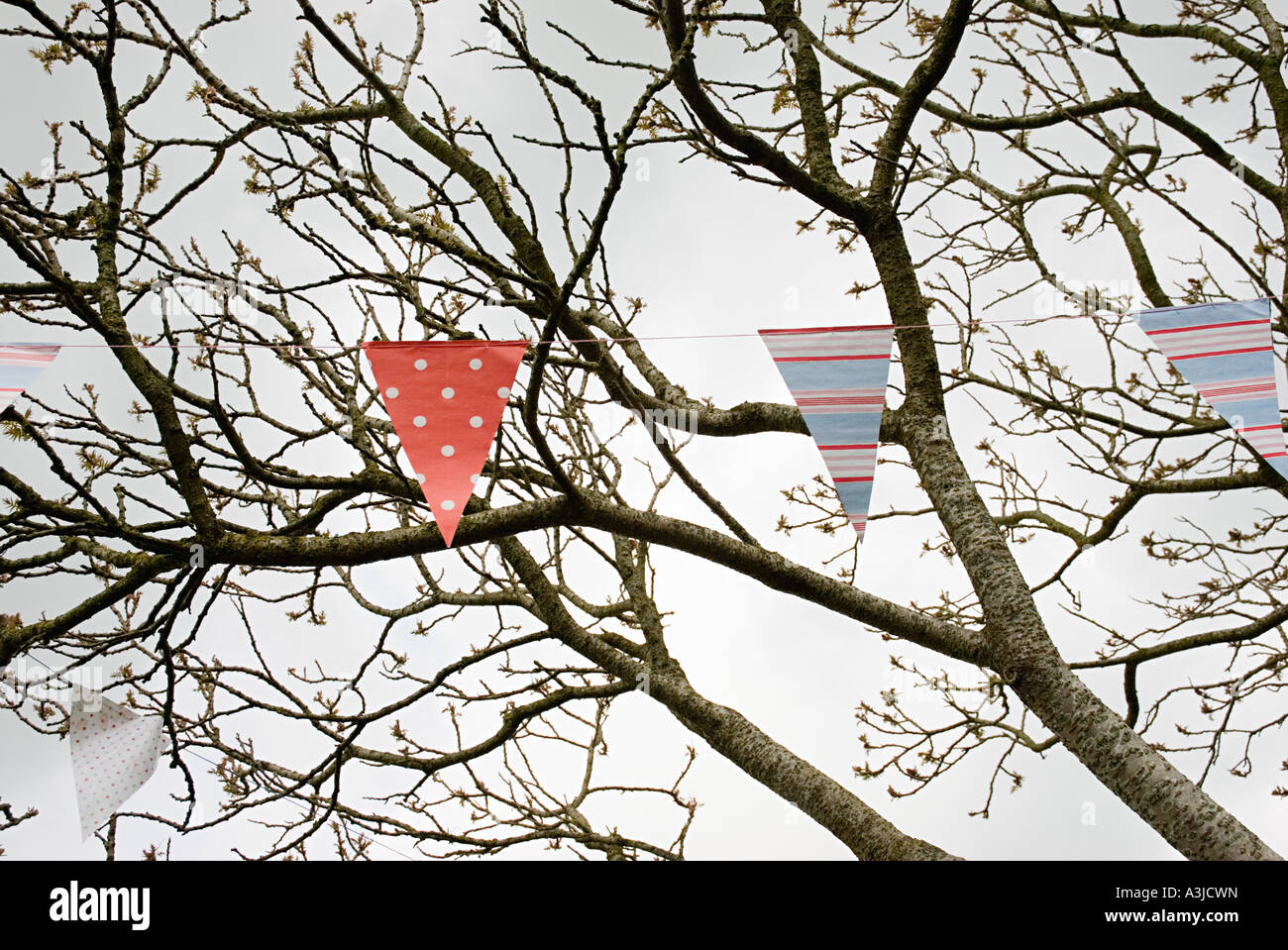 Garden Party Bunting High Resolution Stock Photography and Images - Alamy