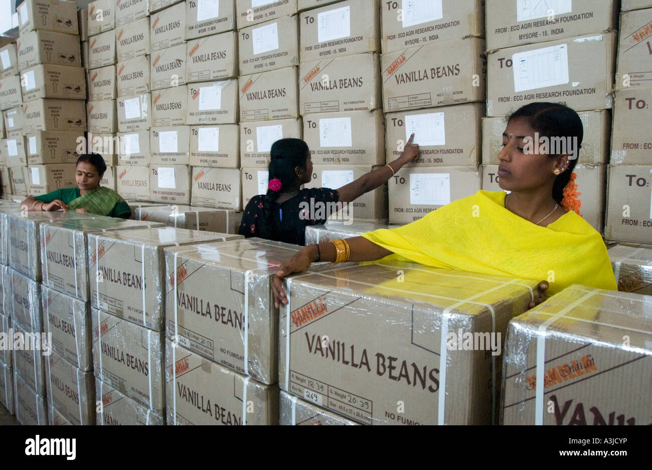 Women packing cured vanilla beans for export Stock Photo - Alamy