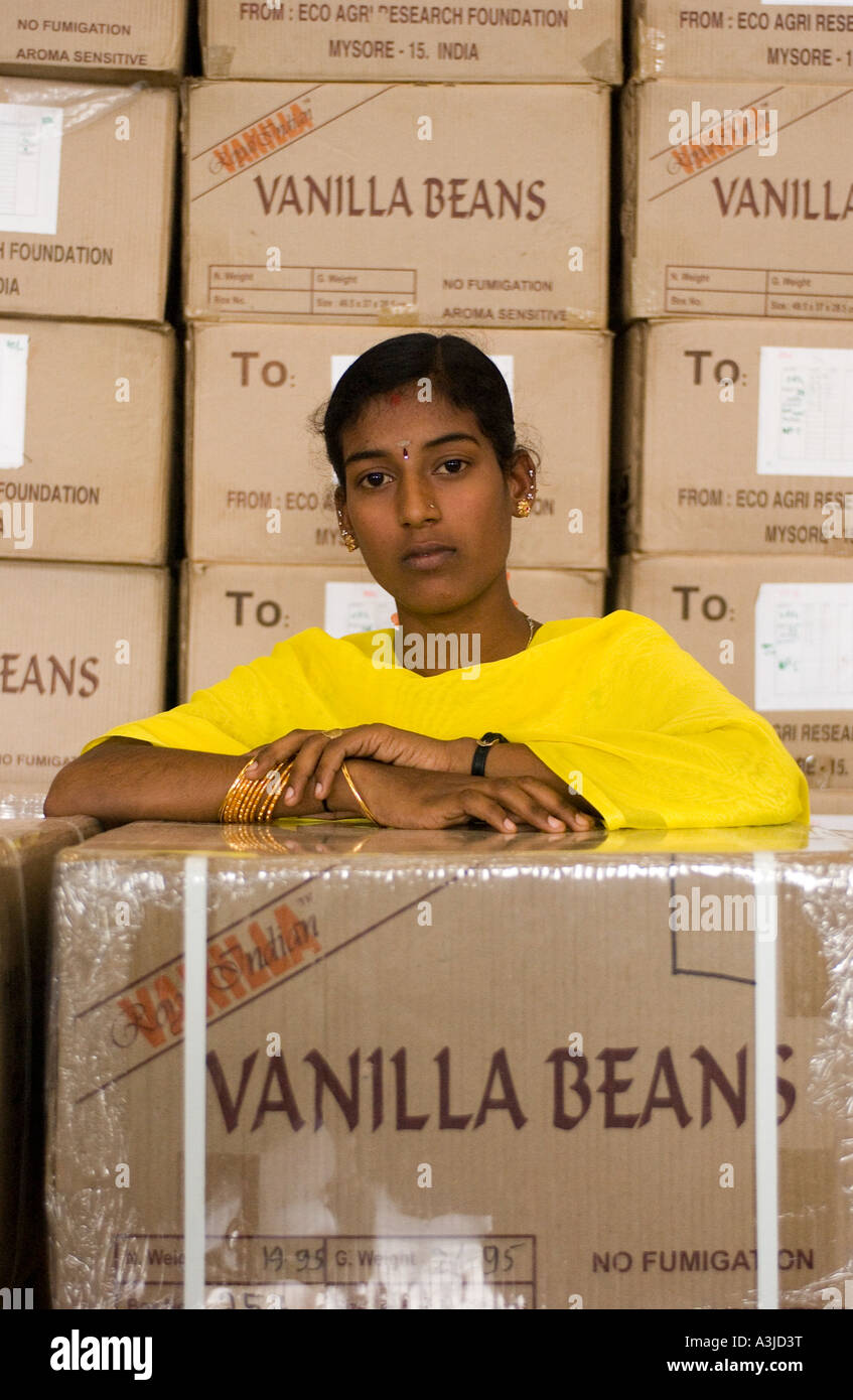 Women packing cured vanilla beans for export Stock Photo - Alamy