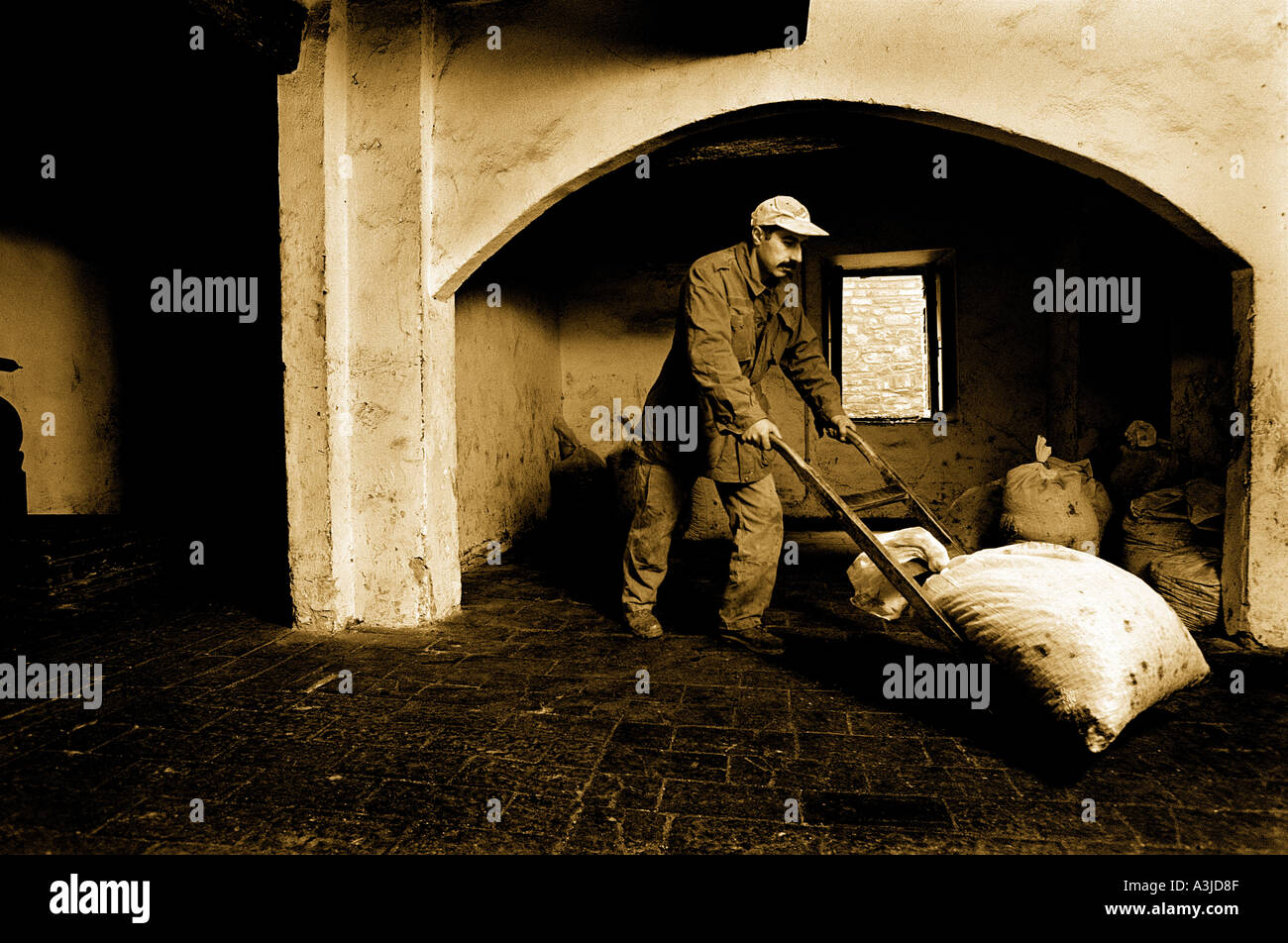 the olive worker Stock Photo - Alamy