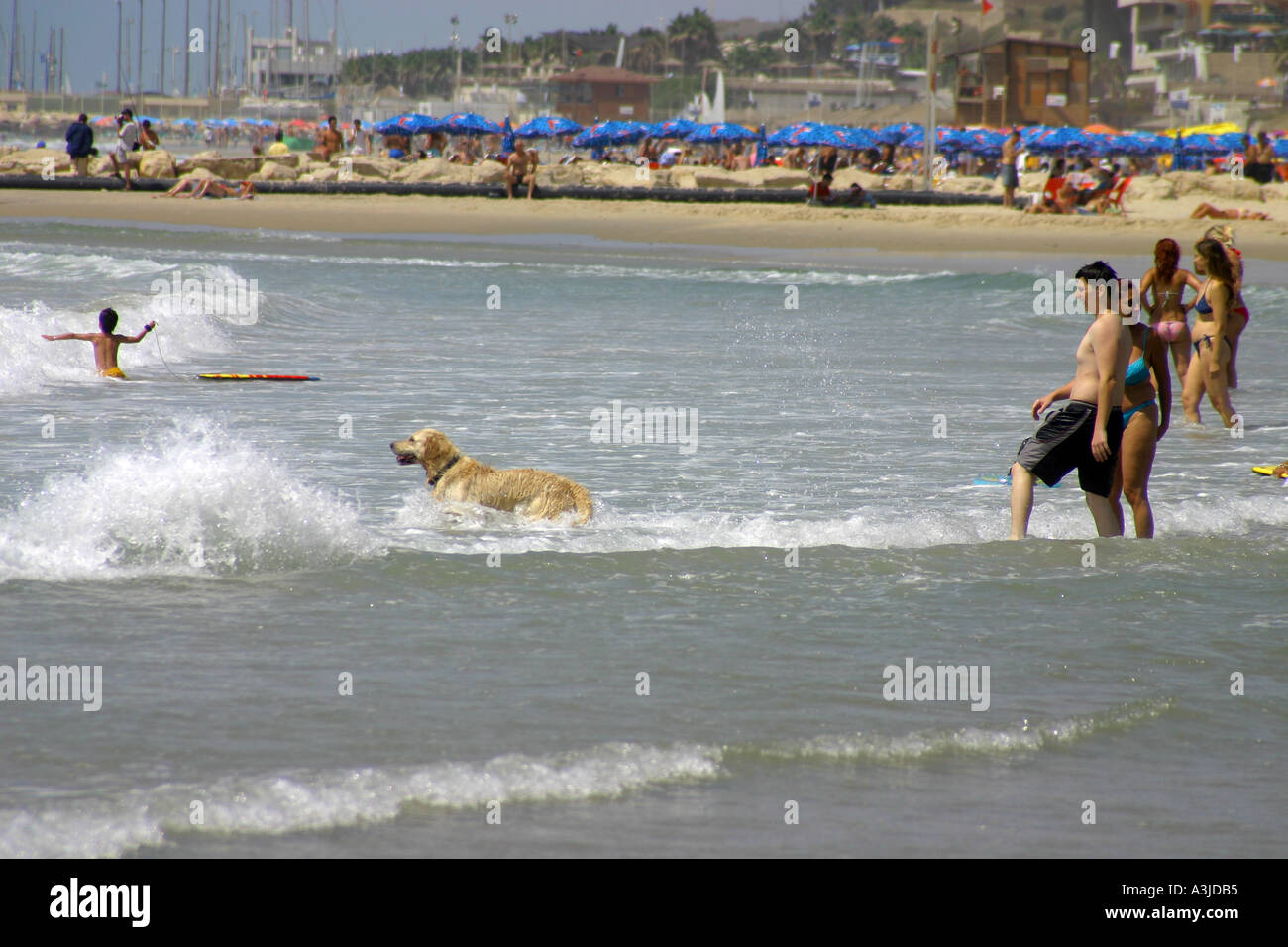 Beach during the summer time Stock Photo - Alamy