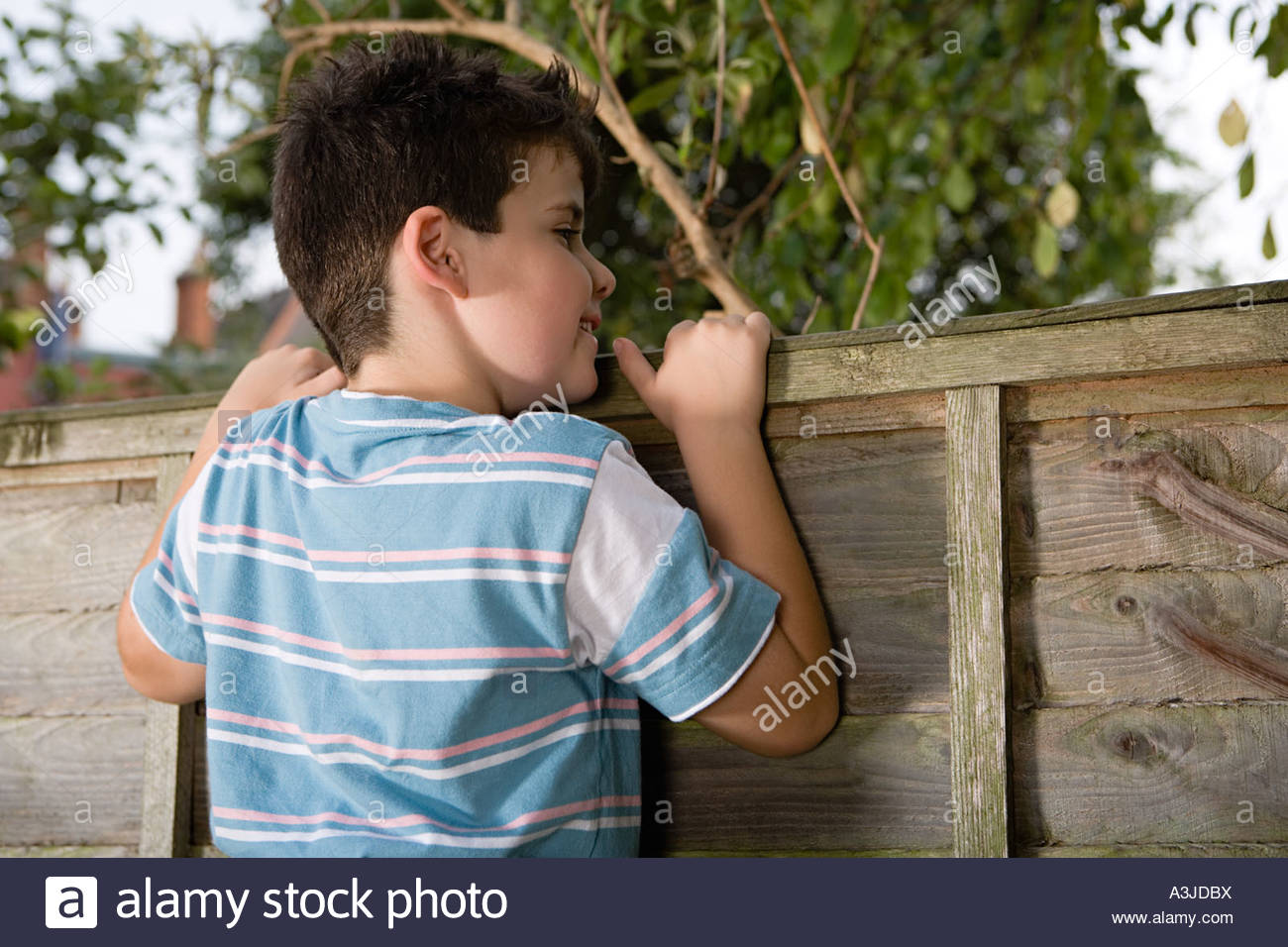 White Fence Backyard Stock Photos & White Fence Backyard Stock Images ...