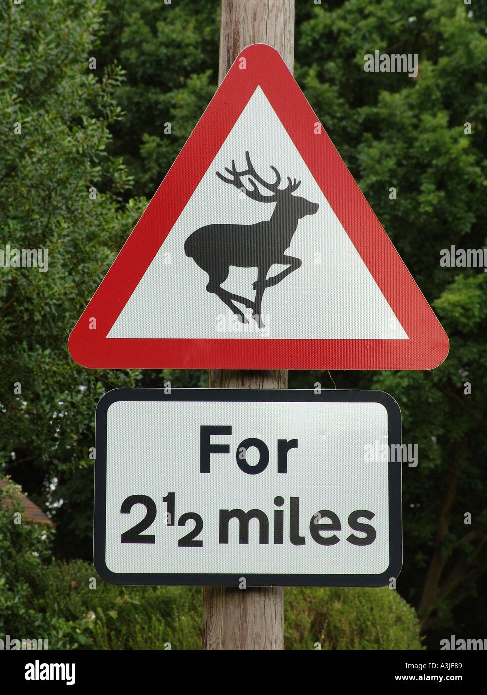 Deer Road Sign Uk Stock Photos & Deer Road Sign Uk Stock Images - Alamy