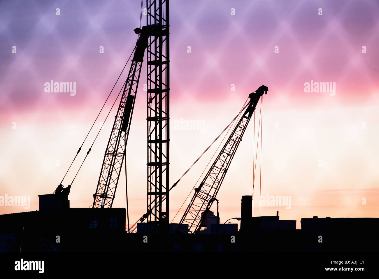 Cranes at sunset Stock Photo - Alamy