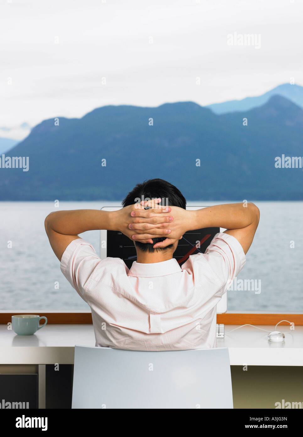 Computer monitor mount hi-res stock photography and images - Alamy
