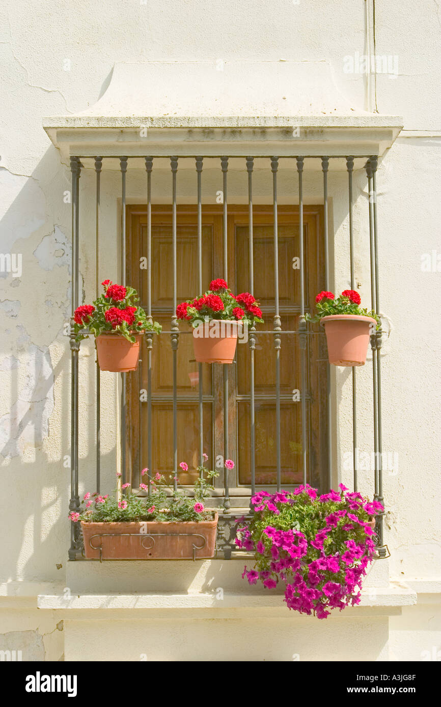 Estepona Costa del Sol Spain Typical Andalusian window Stock Photo - Alamy