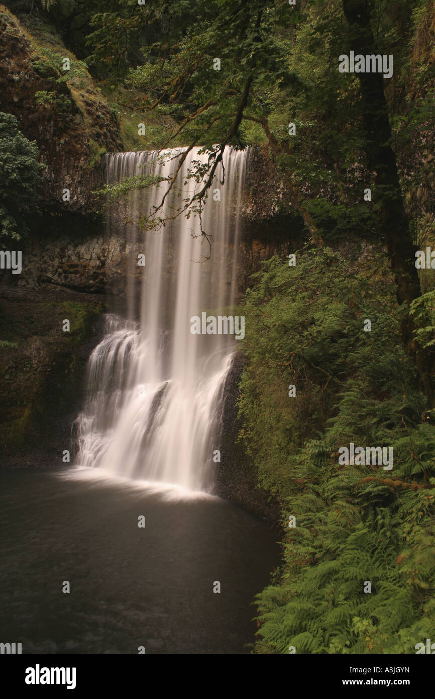 Lower South Falls in Silver Falls State Park in Oregon Stock Photo - Alamy