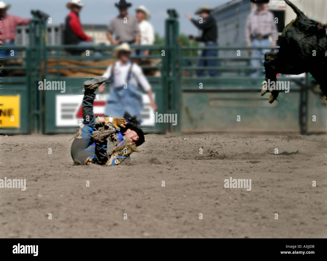 Rodeo Alberta Canada Bull Riding Stock Photo - Alamy